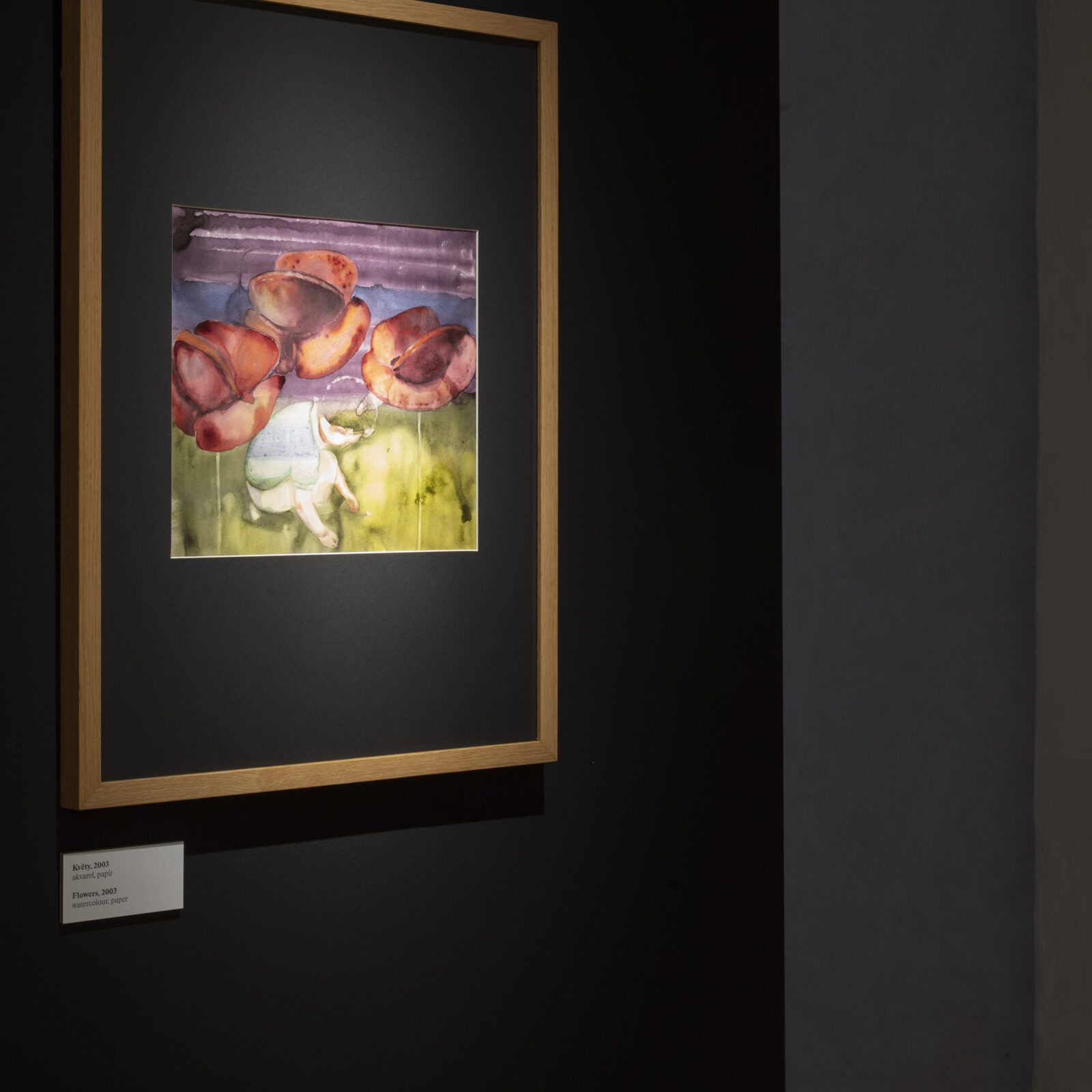 Šárka Trčková - Secrets | GASK