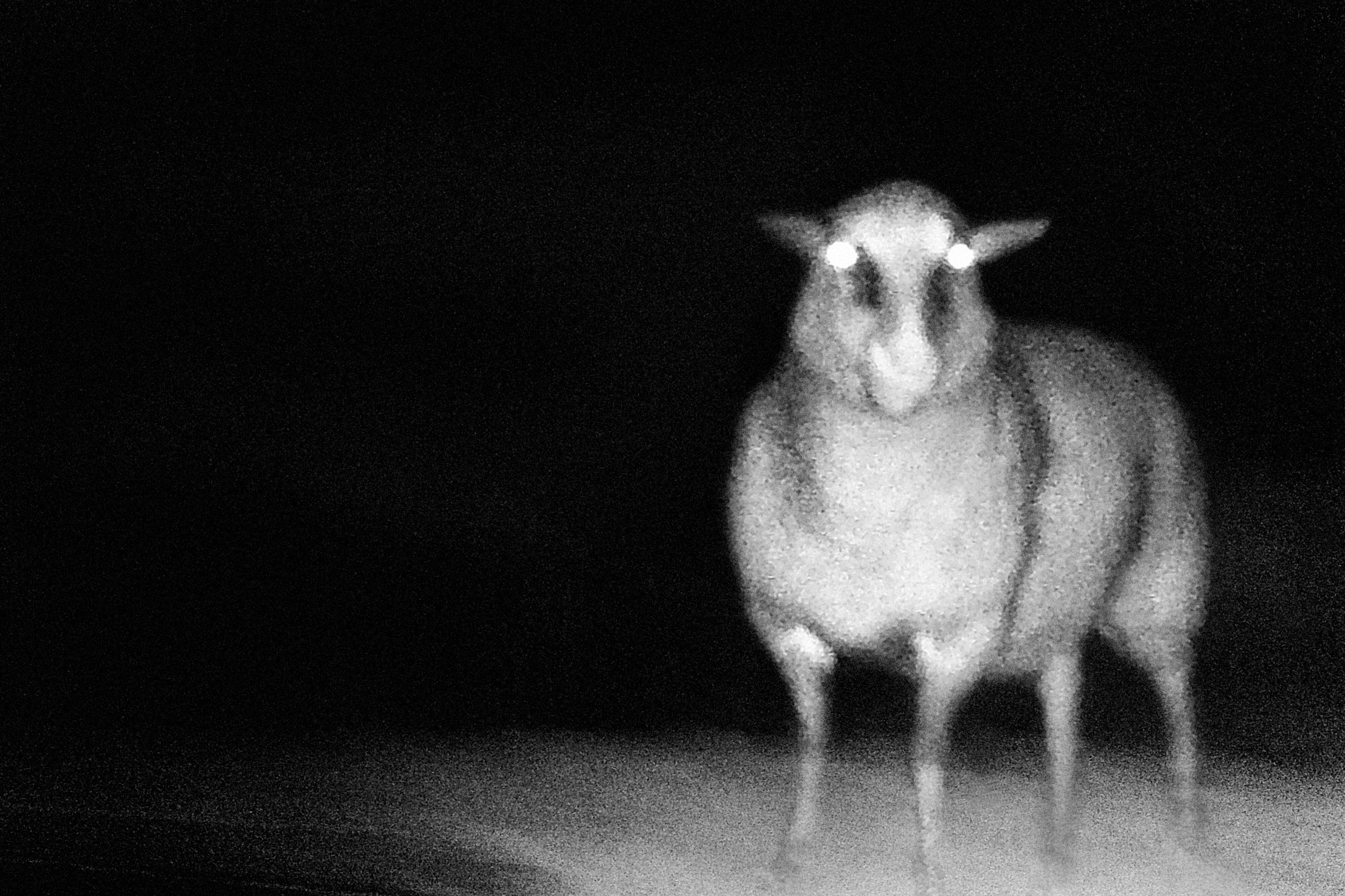 Kateřina Simerová - In the Dark | GASK